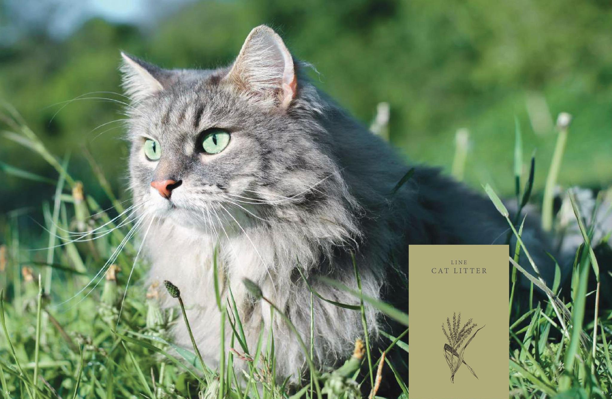 Natural Corn kaķu smiltis – salipstošas, zema putekļu daudzuma ...